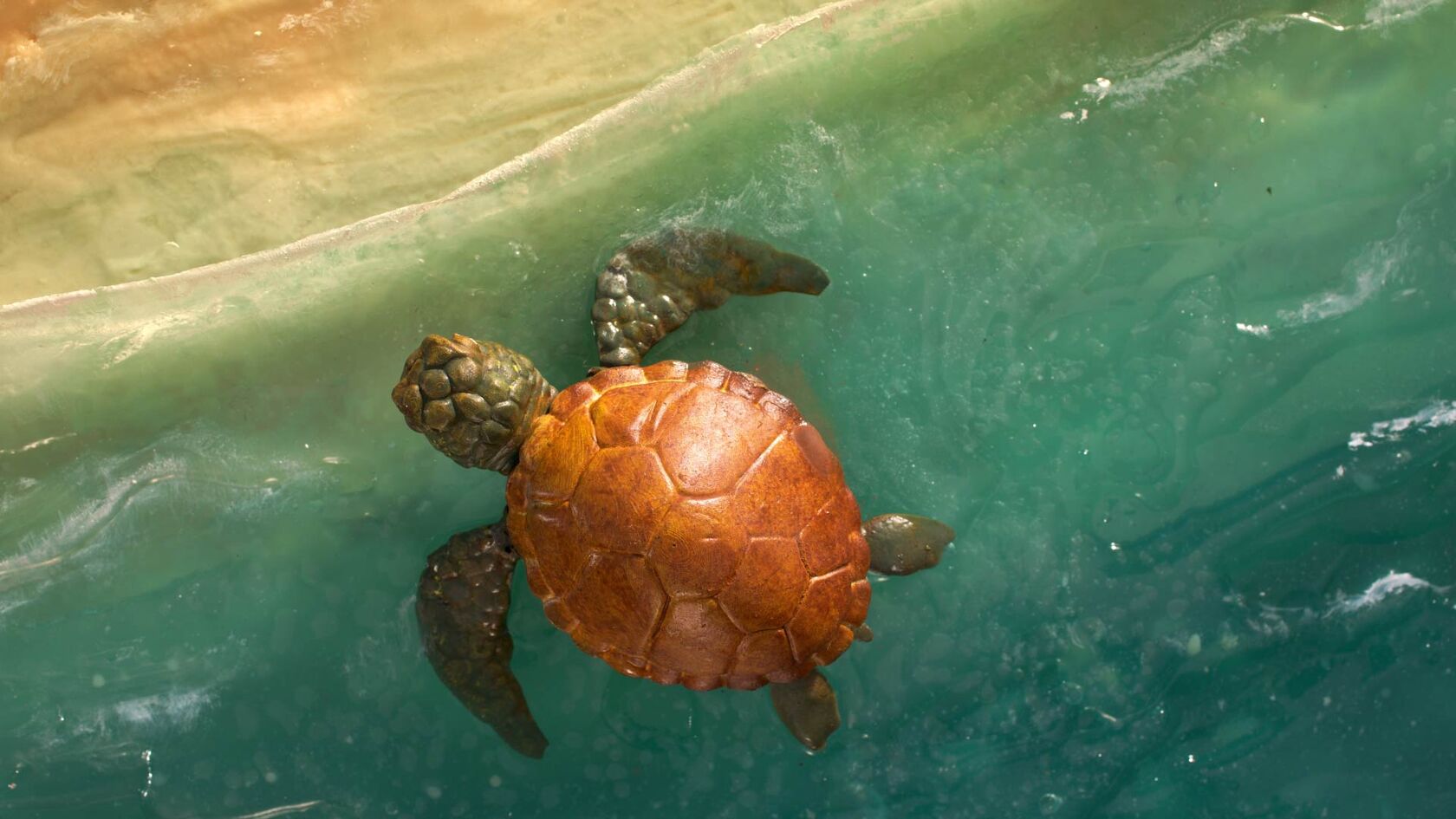 Asia Pacific Directory | Keywords Studios Limited